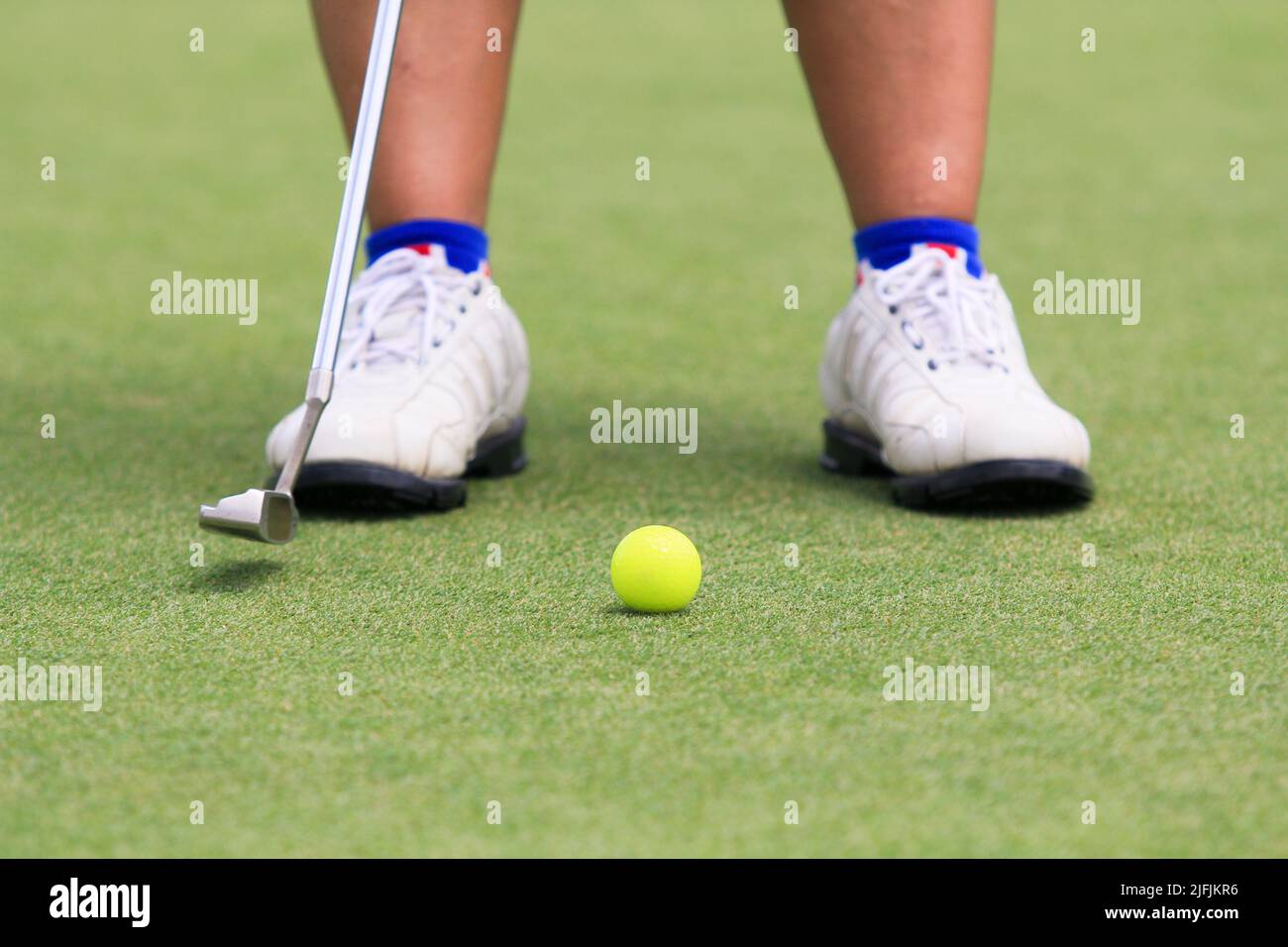 Woman golf player putting on the green Stock Photo - Alamy