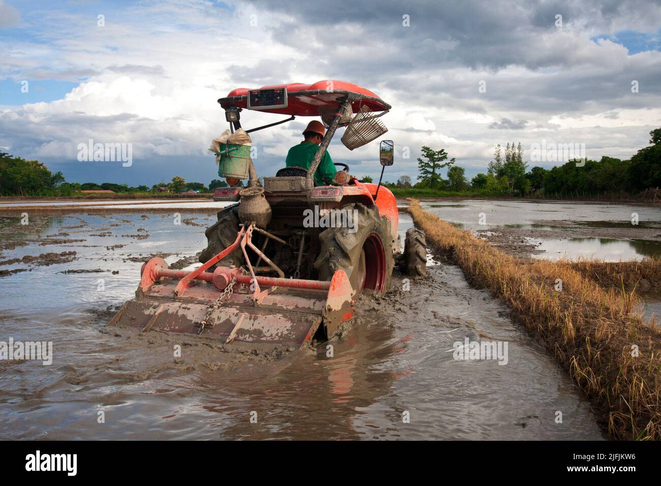 Tractor plowing soil in paddy for prepare planting rice Stock Photo - Alamy