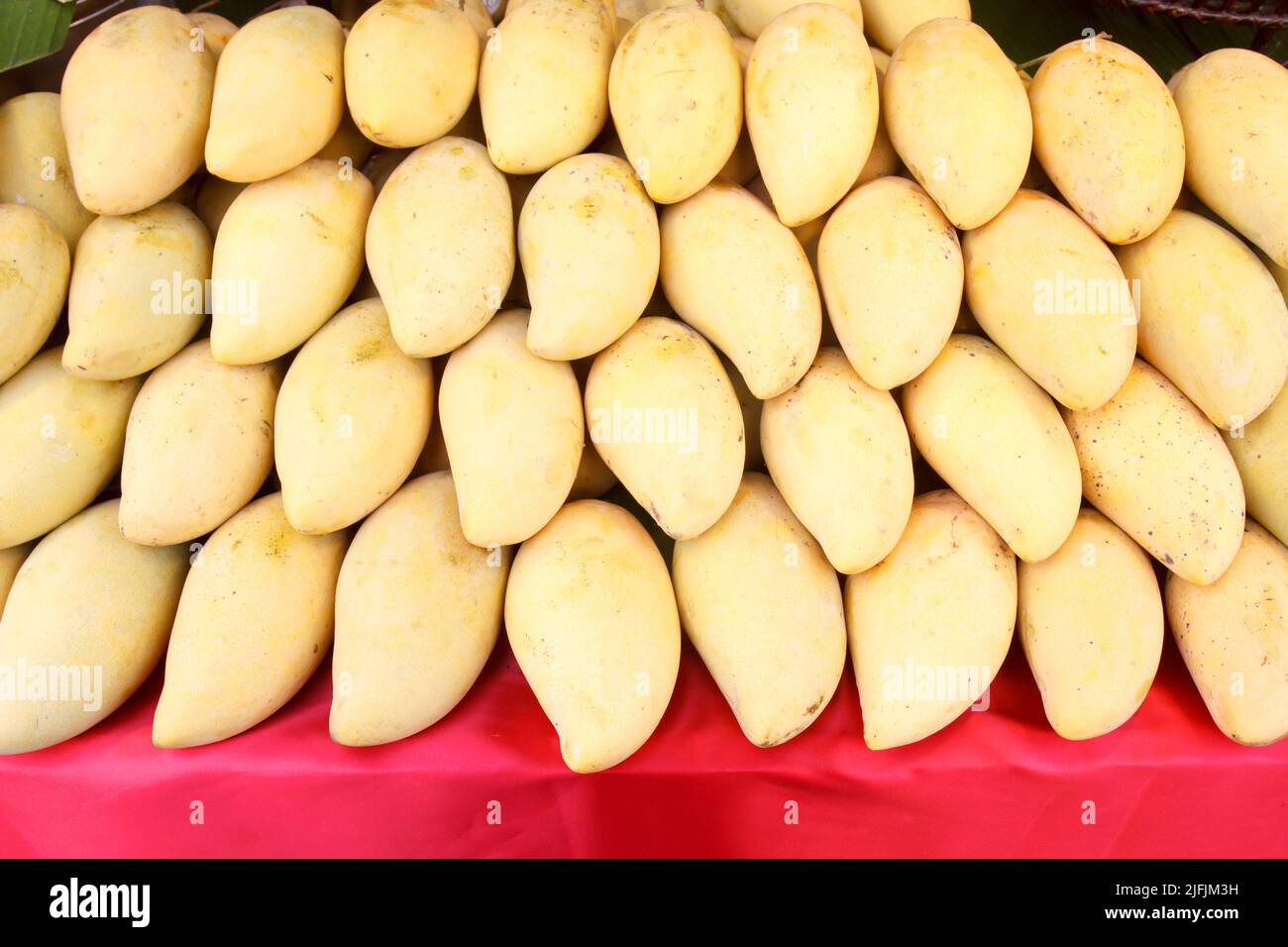 Yellow mangoes stacked in Thailand Stock Photo - Alamy