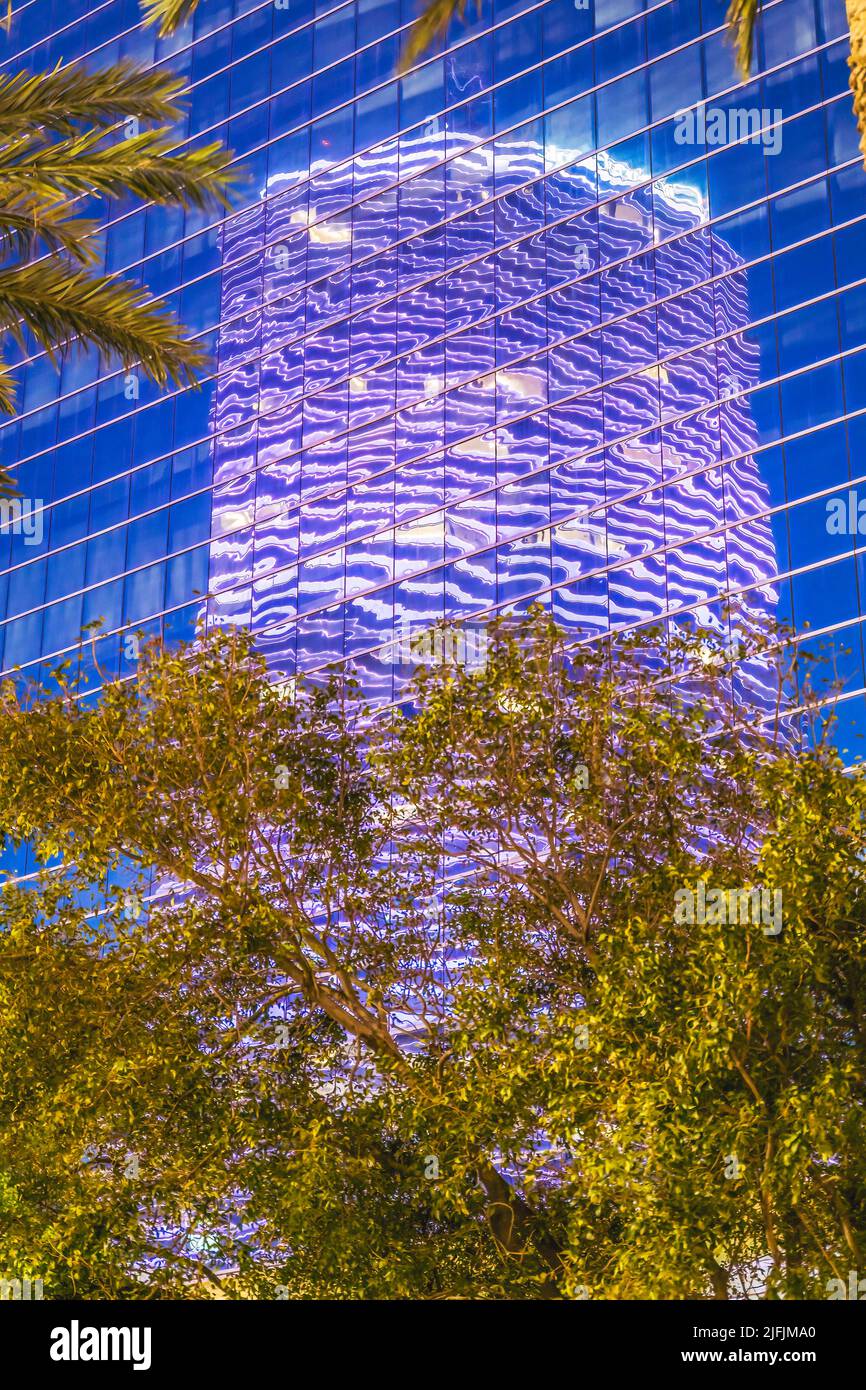 Reflection Purple Building Palm Trees Downtown Miami Florida Stock ...