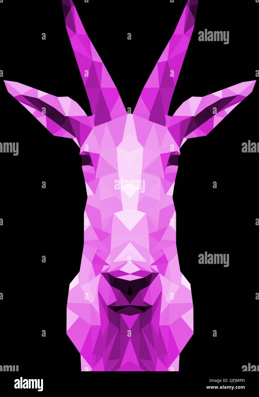 Pink, purple polygonal abstract wild mountain goat on black background ...