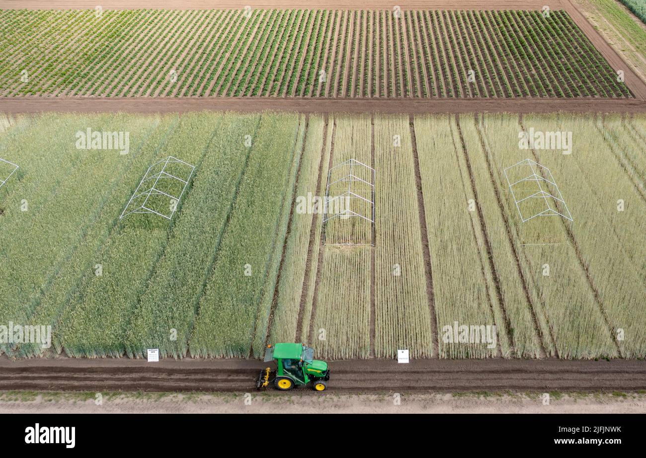 Unfertilized field hi-res stock photography and images - Alamy