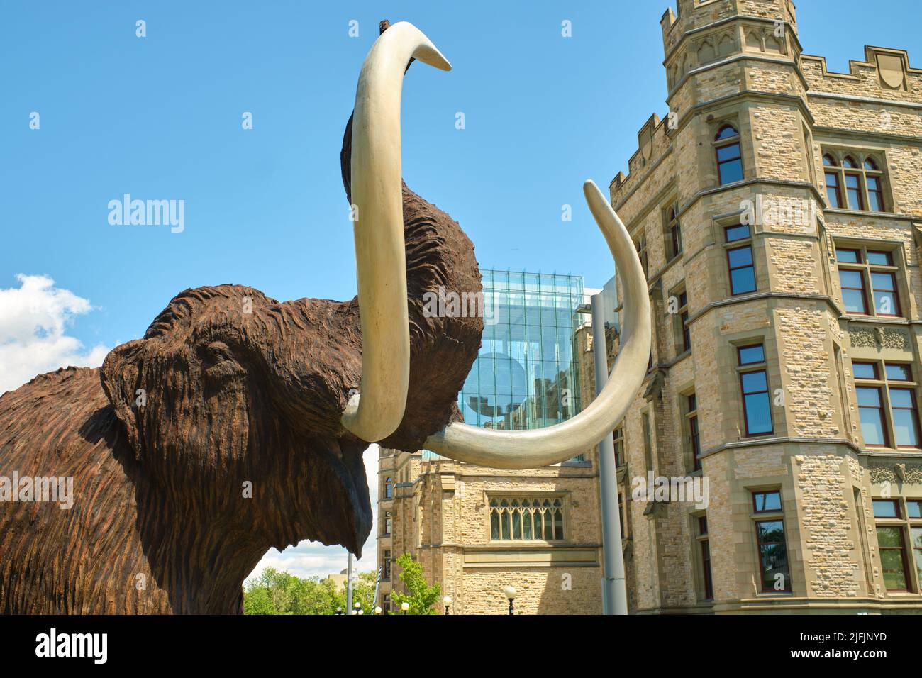 Ottawa, Ontario, Canada - June 5, 2022: A statue of a wooly mammoth ...