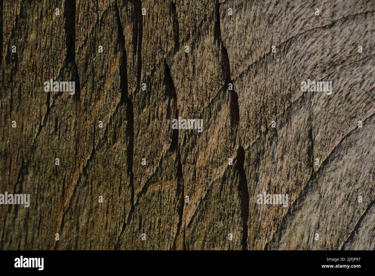 A close-up view of a rough wooden plank shows cracks and lines in the ...