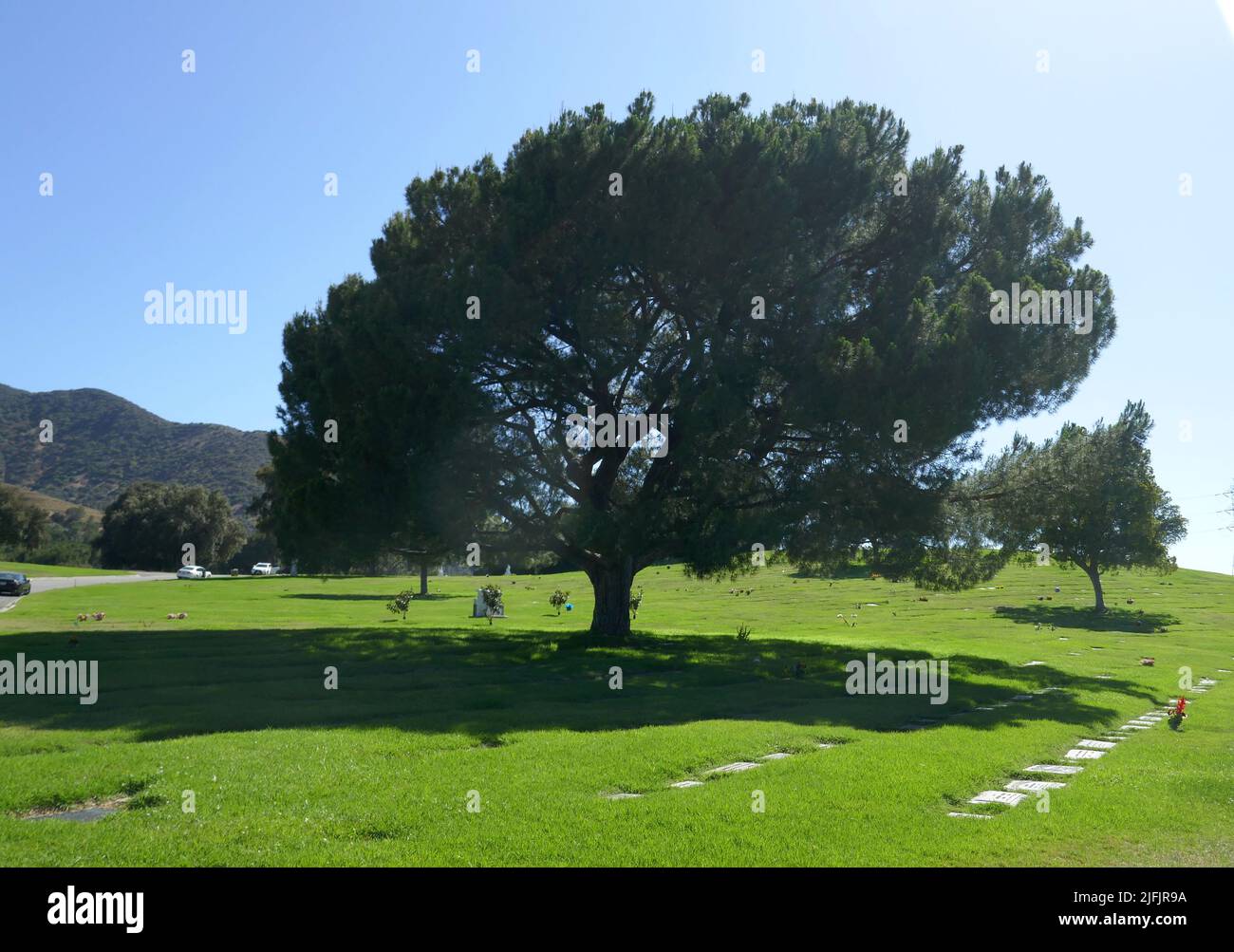 Los Angeles, California, USA 19th June 2022 Boxer Ad Wolgast's Grave ...