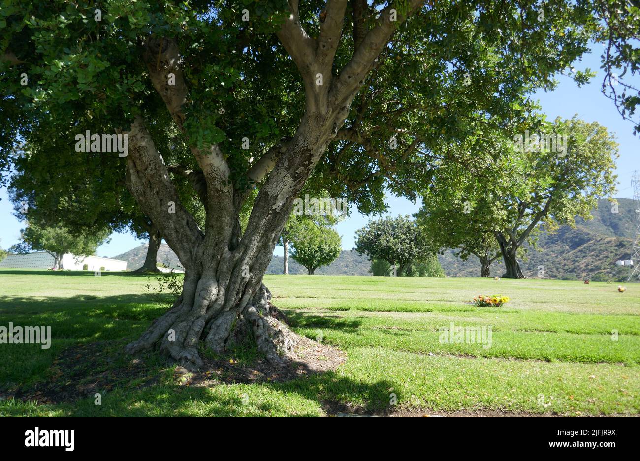 Los Angeles, California, USA 19th June 2022 Boxer Ad Wolgast's Grave ...