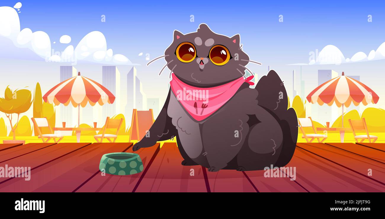 Cat with feed bowl on wooden terrace of restaurant or street cafe ...