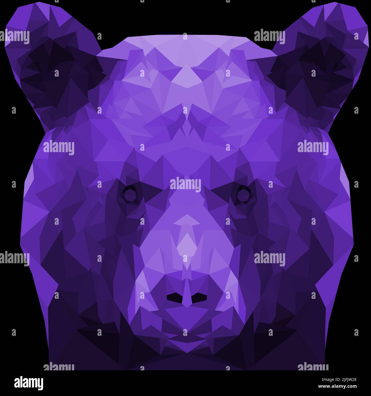 Purple polygonal, crystal abstract wild bear face on black background ...