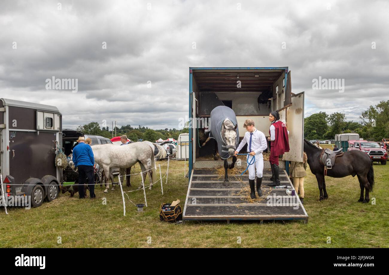 Show bred hi-res stock photography and images - Alamy