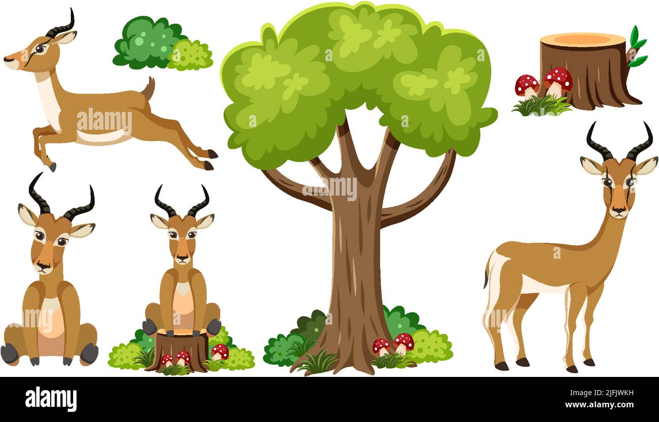 Wild animals set with nature elements illustration Stock Vector Image ...