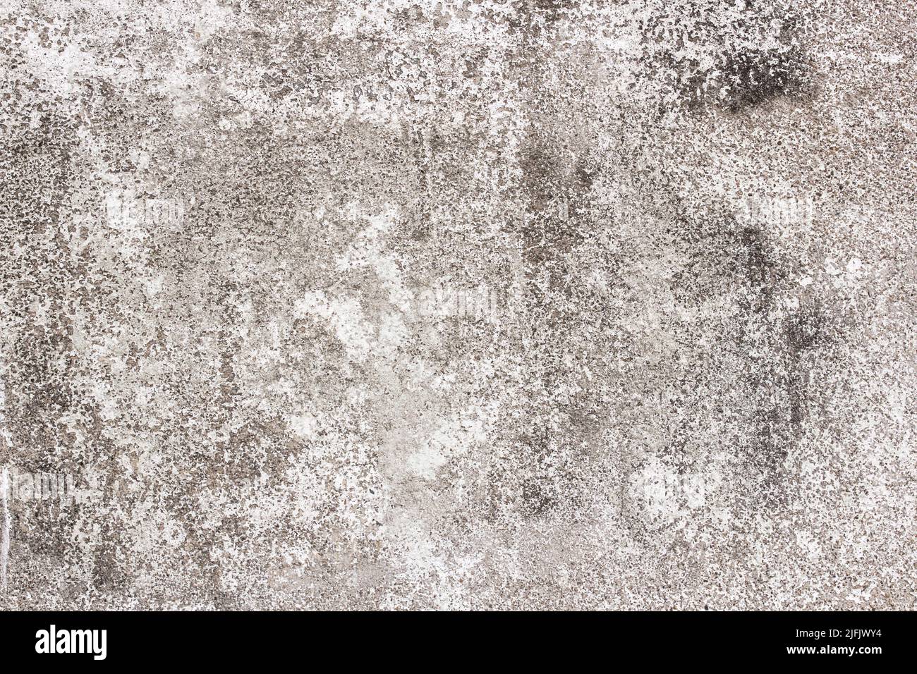 Hi res white concrete wall texture and background. White wall ...