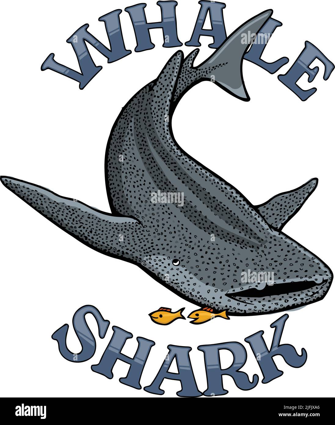 Gray whale Cut Out Stock Images & Pictures - Alamy