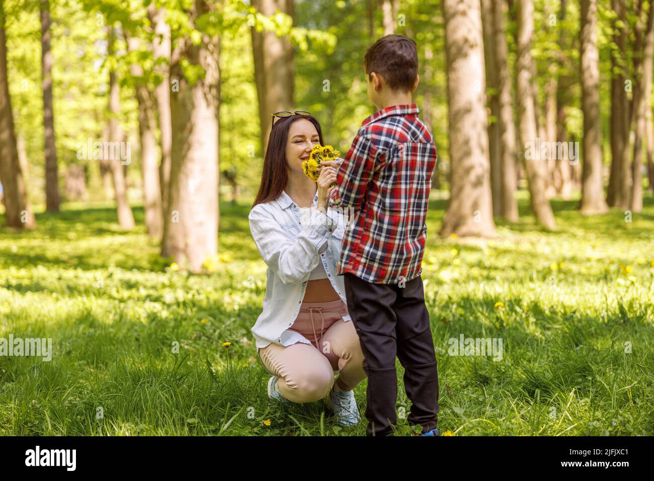 Rear on small cute boy giving dandelions to mother in sunny park or forest. Flowers from kid ...