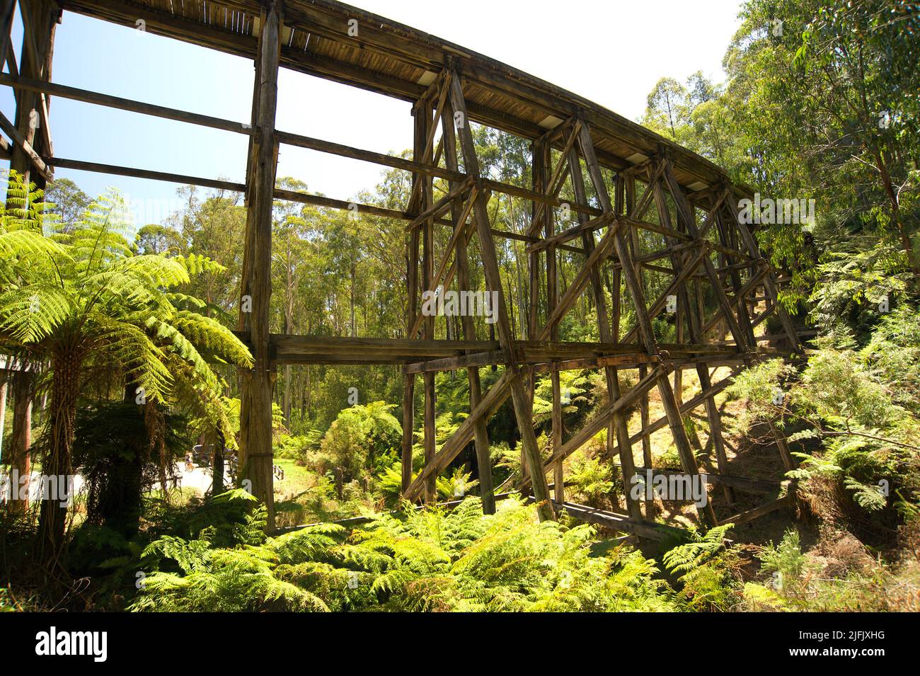The Noojee Trestle bridge was built to carry the railway from Warragul ...