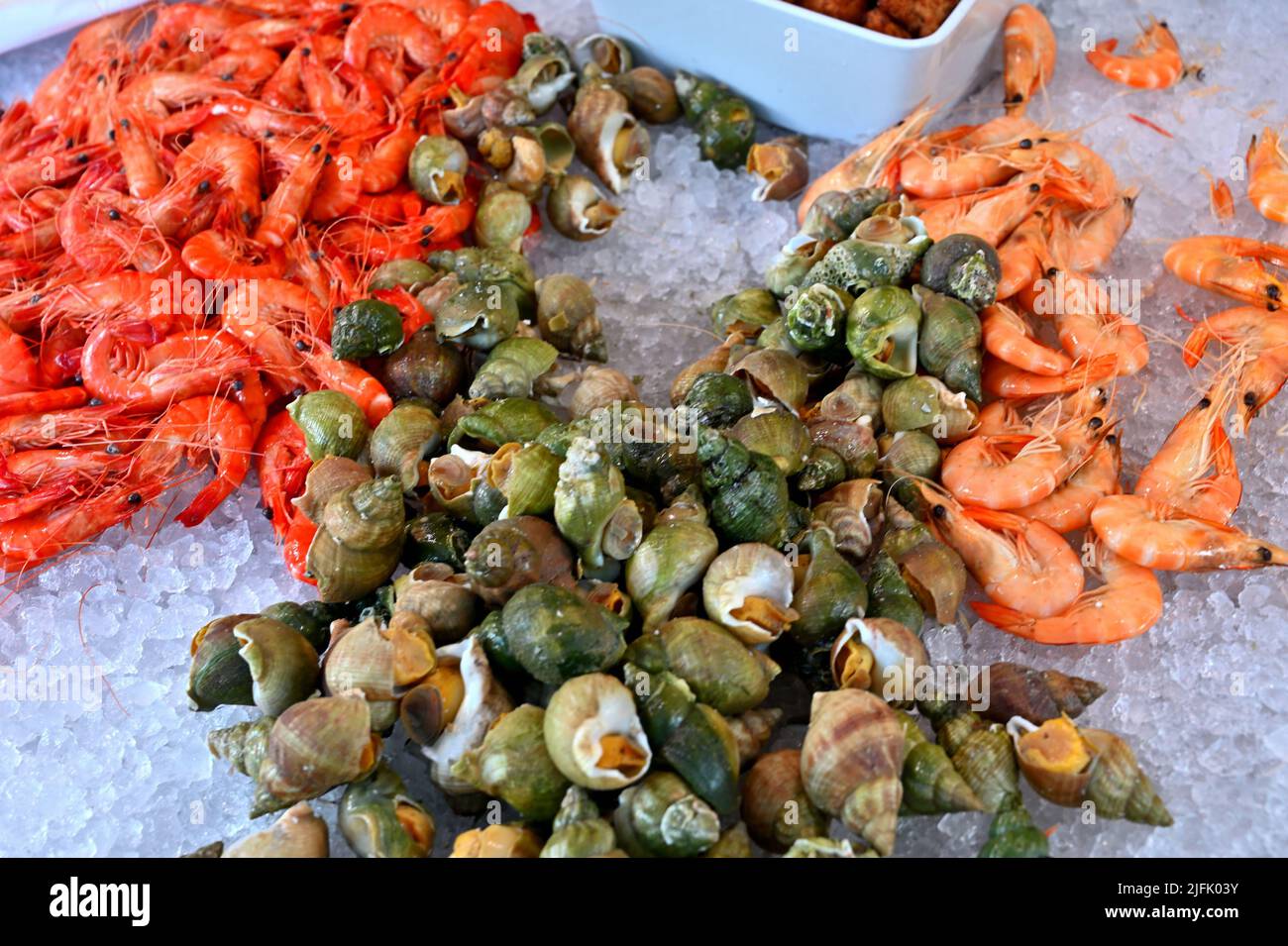 various shell fishes in a fish store Stock Photo - Alamy