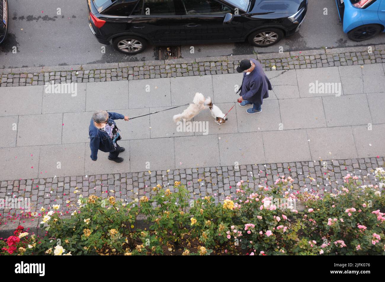 Kastrup/Copenhagen/Denmark/03 July 2022/Senior female citizen walk ...