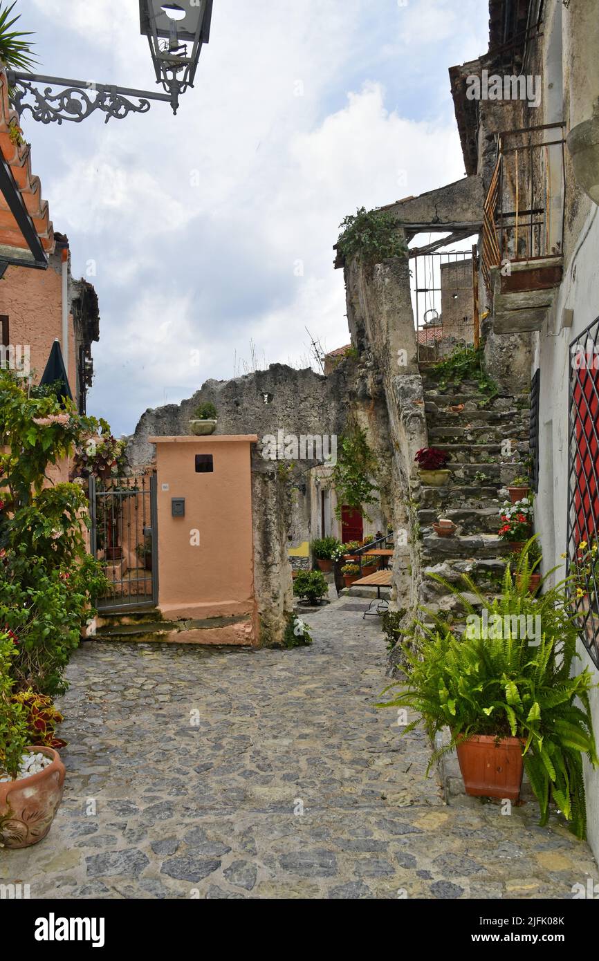 A vertical shot of a narrow street between old houses in Scalea village ...