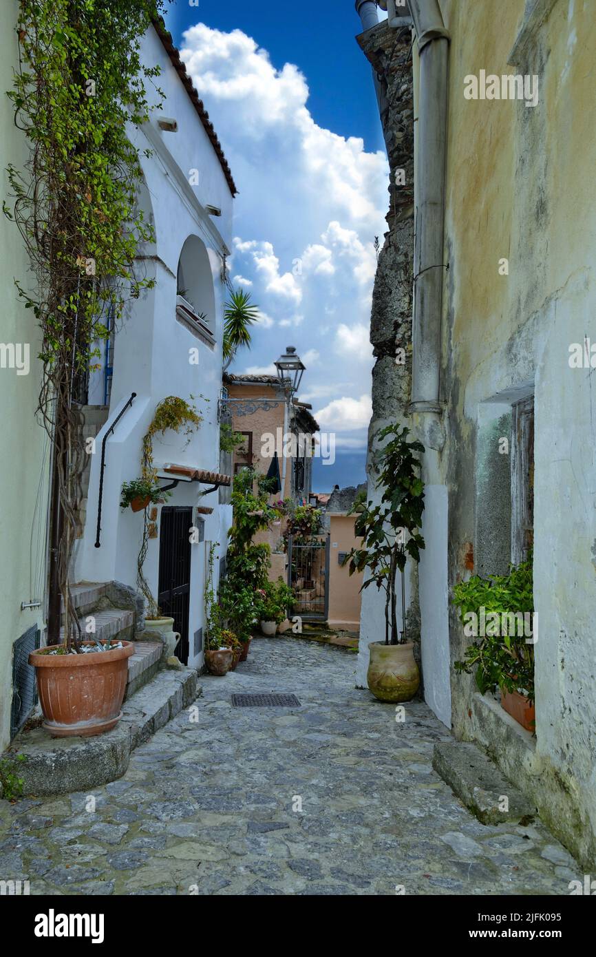 A vertical shot of a narrow street between old houses in Scalea village ...