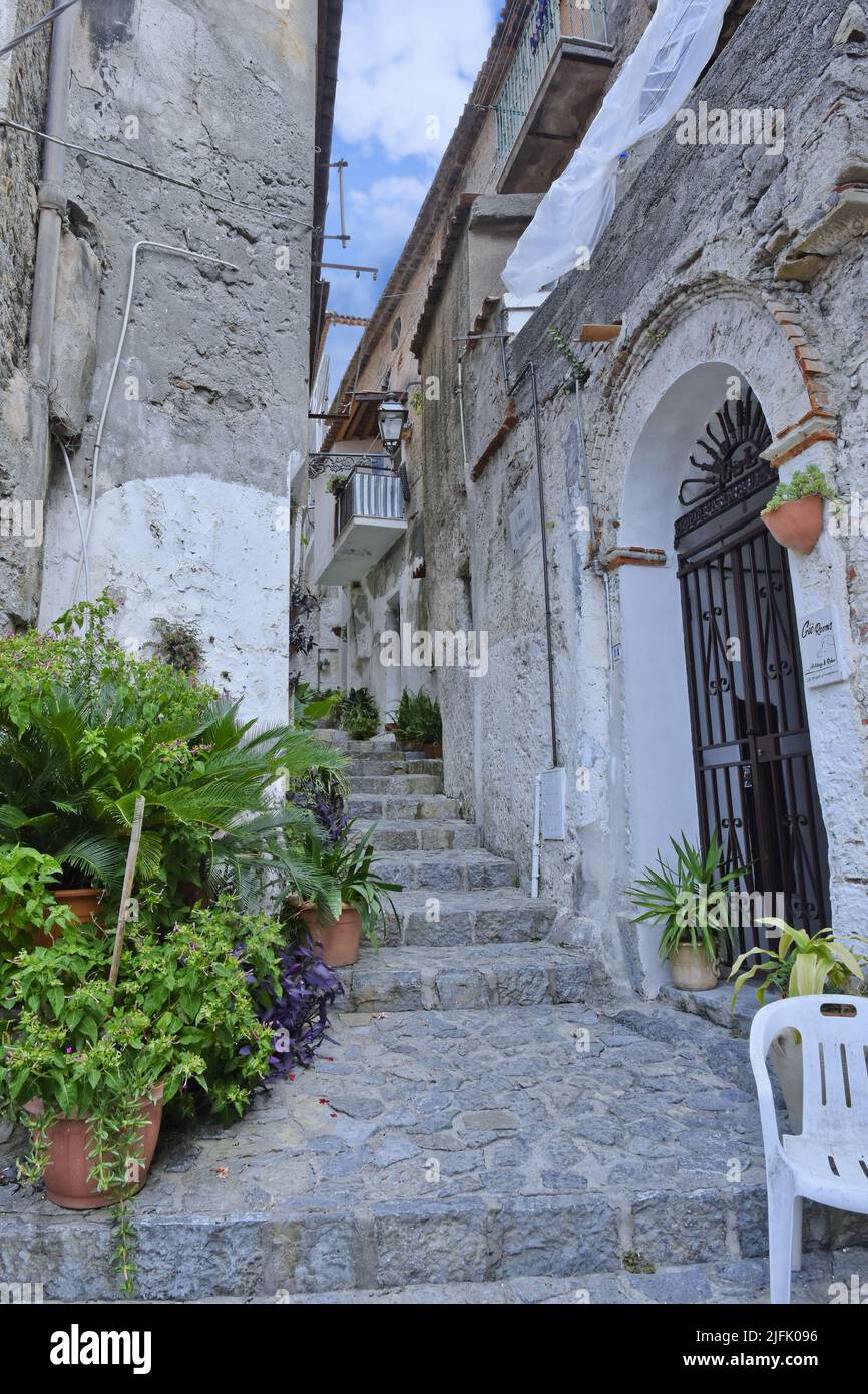 A vertical shot of a narrow street between old houses in Scalea village ...