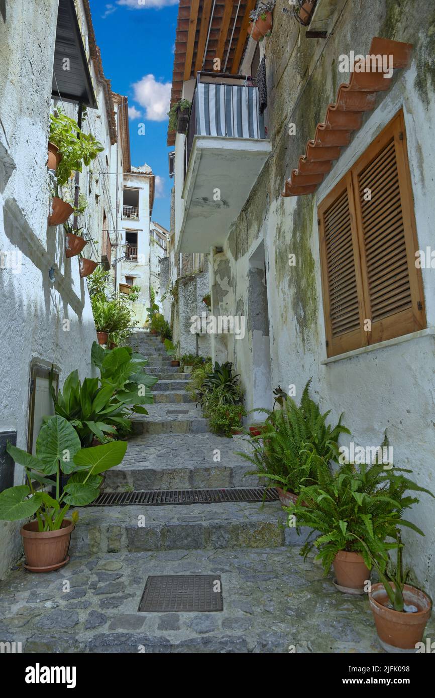 A vertical shot of a narrow street between old houses in Scalea village ...