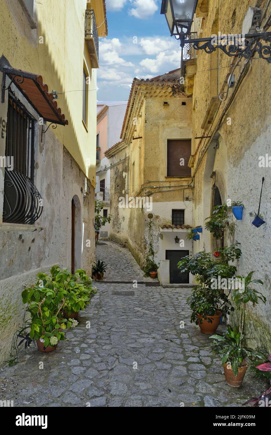 A vertical shot of a narrow street between old houses in Scalea village ...