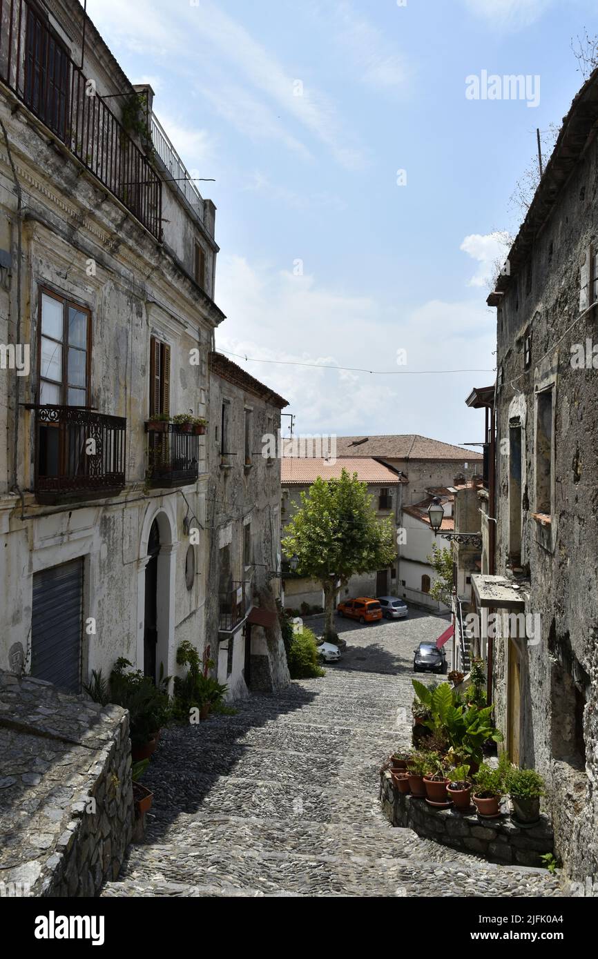 A vertical shot of a narrow street between old houses in Scalea village ...