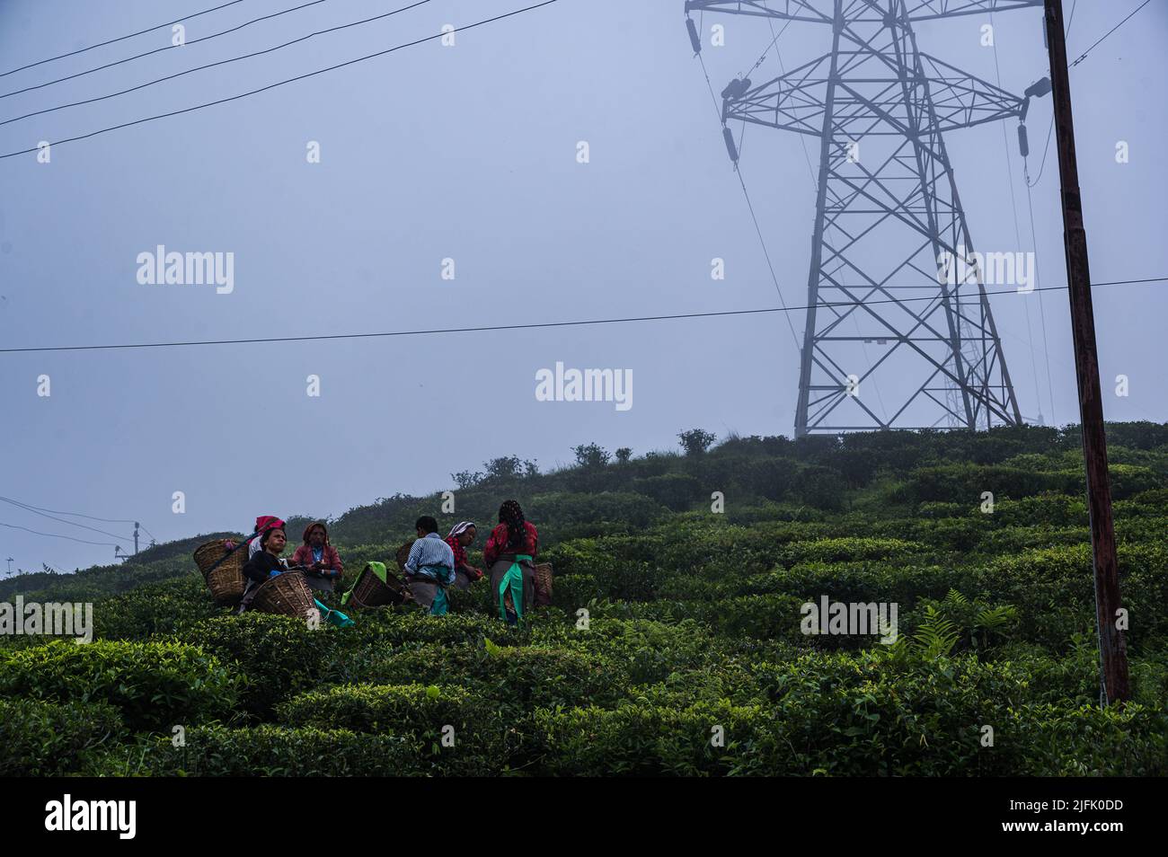 June 10, 2022, Mirik, West Bengal, India: Mirik valley is covered in ...