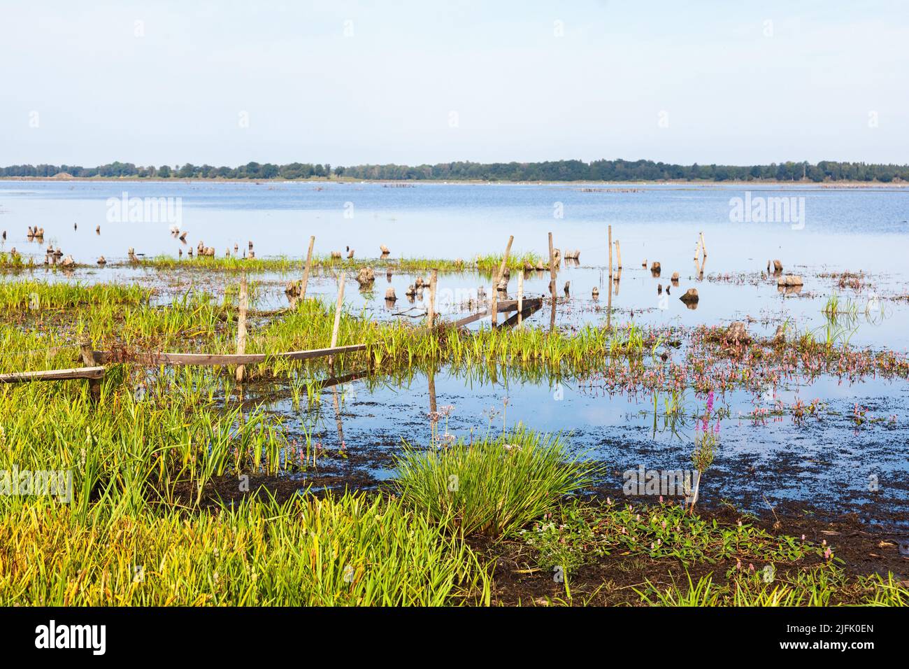 Fence that goes into the water at the lake Stock Photo - Alamy