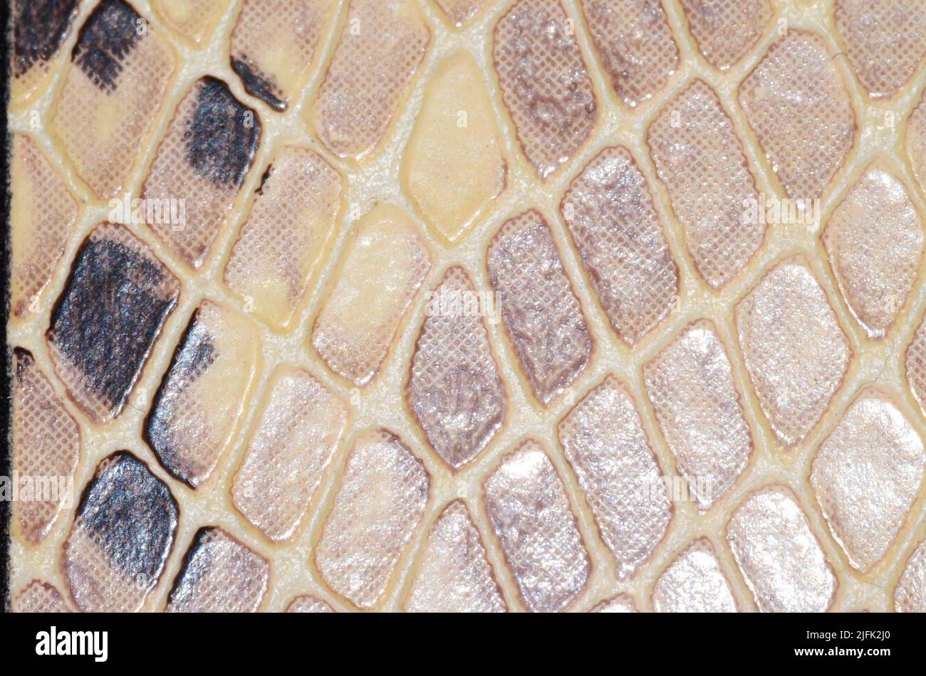 Artificial Reptil Snake Skin Seamless Pattern Texture Stock Photo - Alamy