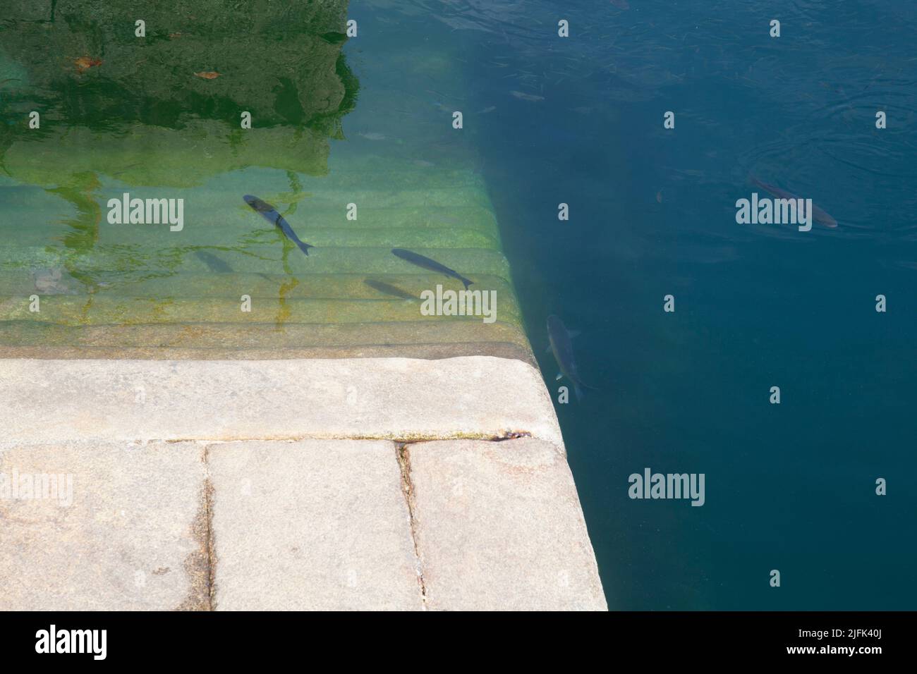 Shallow water level hi-res stock photography and images - Alamy