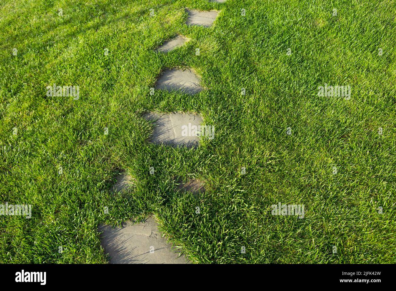 path in the garden, green lawns with stone walkways, garden landscaping ...