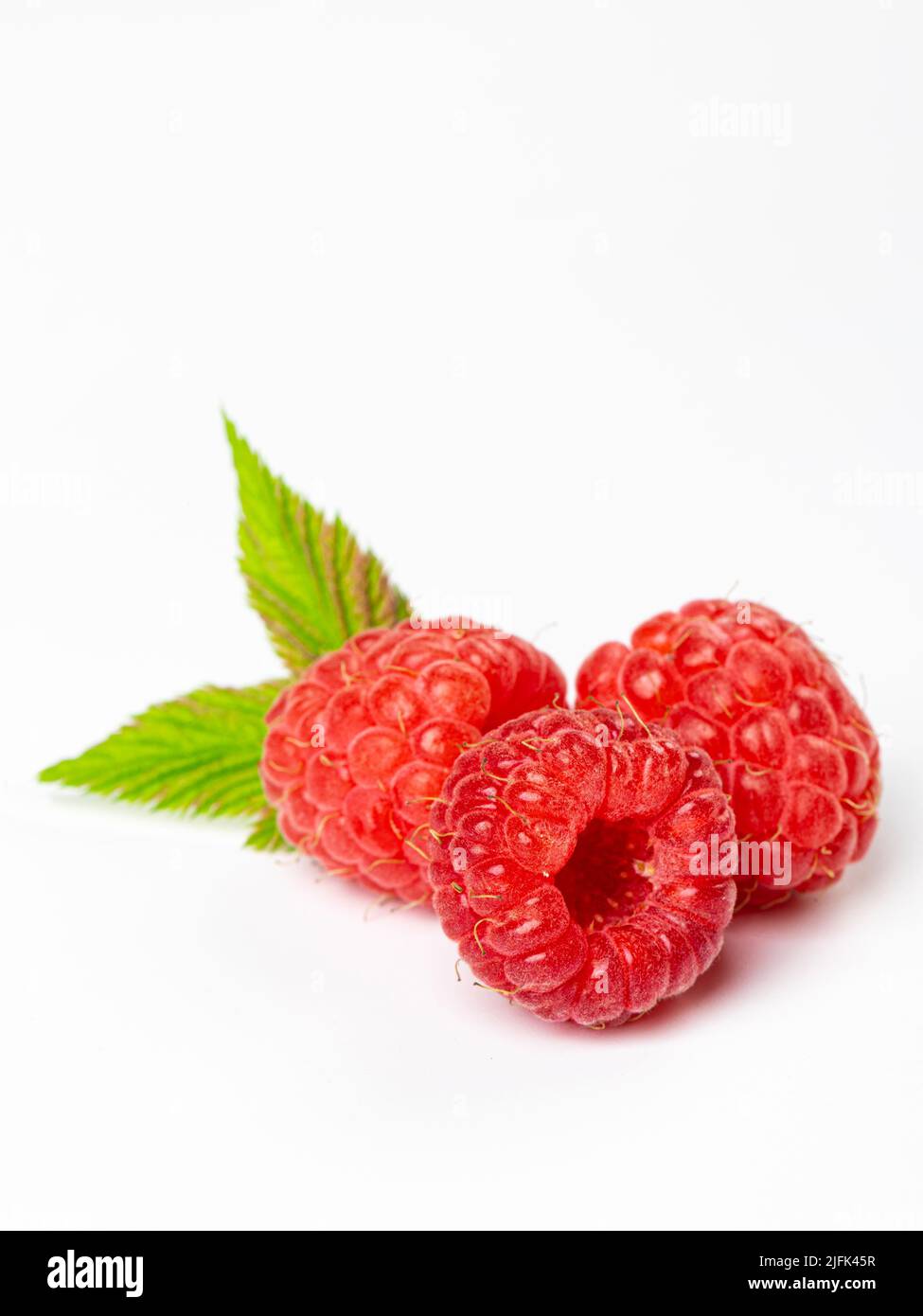 Isolated berries. Bunch of raspberry fruits with leaves isolated on ...