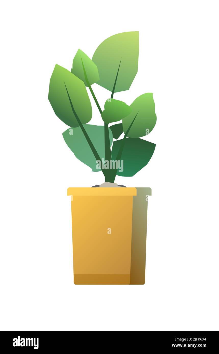 Root in box. Seedling garden plants. Sowing agricultural material ...