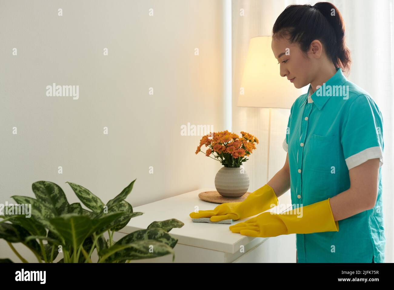 Cleaner girl in uniform and rubber gloves wiping dust from the table ...