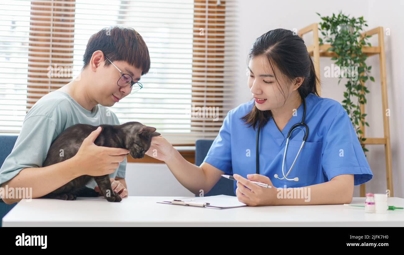 Pet care concept, Female veterinary examining the cat and writing ...