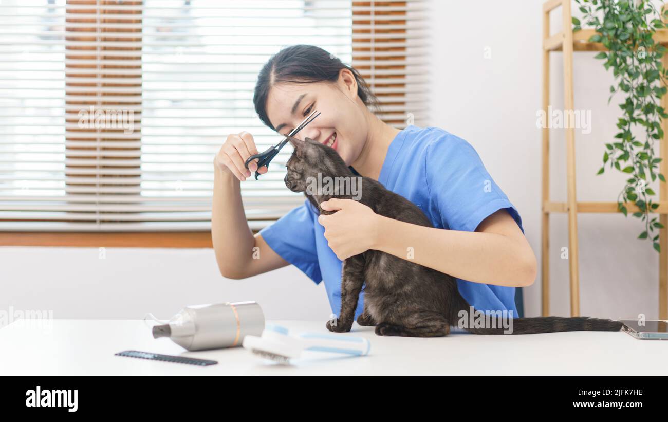 Pet salon concept, Female veterinarian using scissors to trim fur of ...