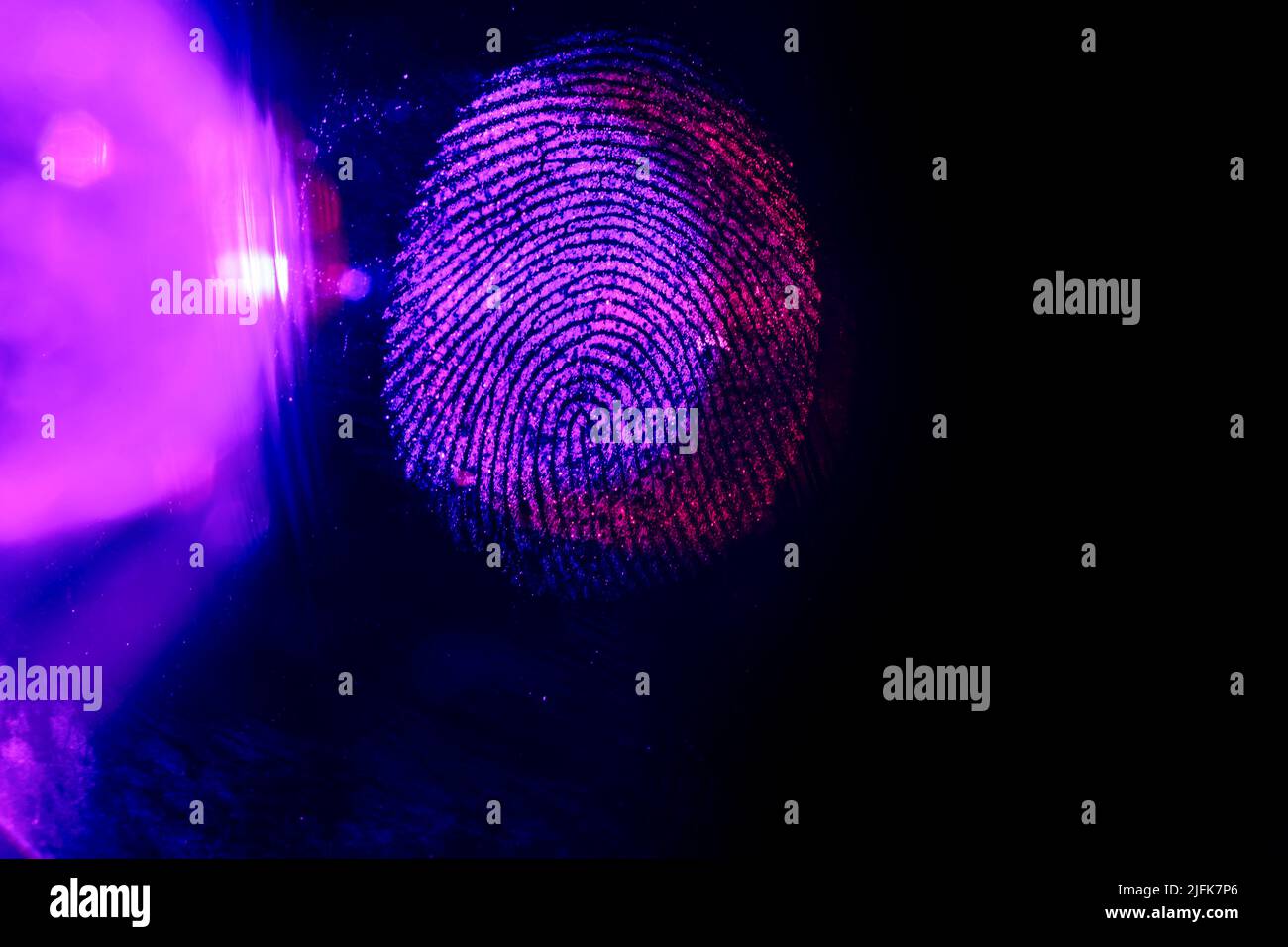 Close up beautiful abstract purple, red colored fingerprint on ...