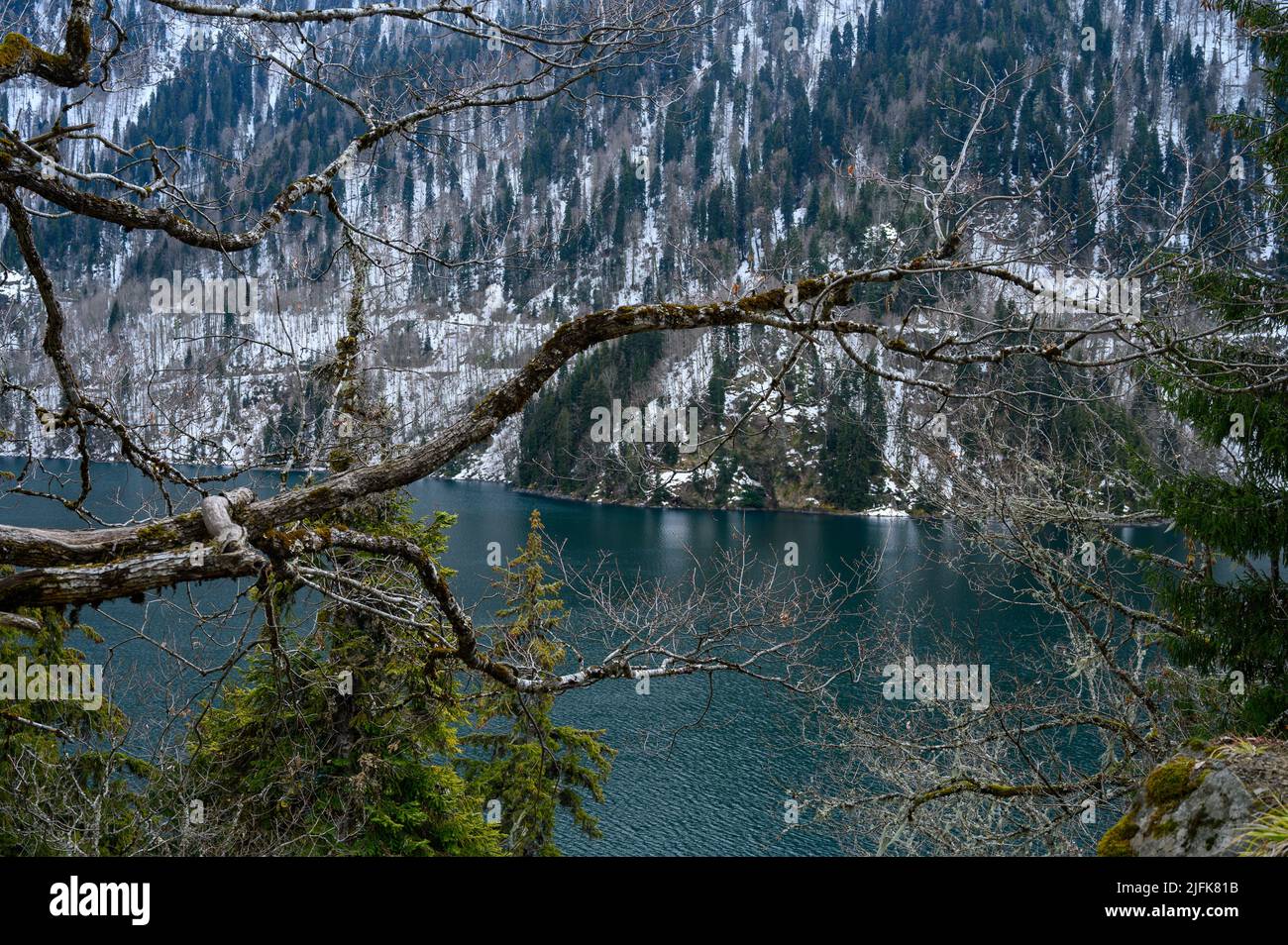 Girl sits on a tree and meditates near lake Ritsa in Abkhazia Stock ...