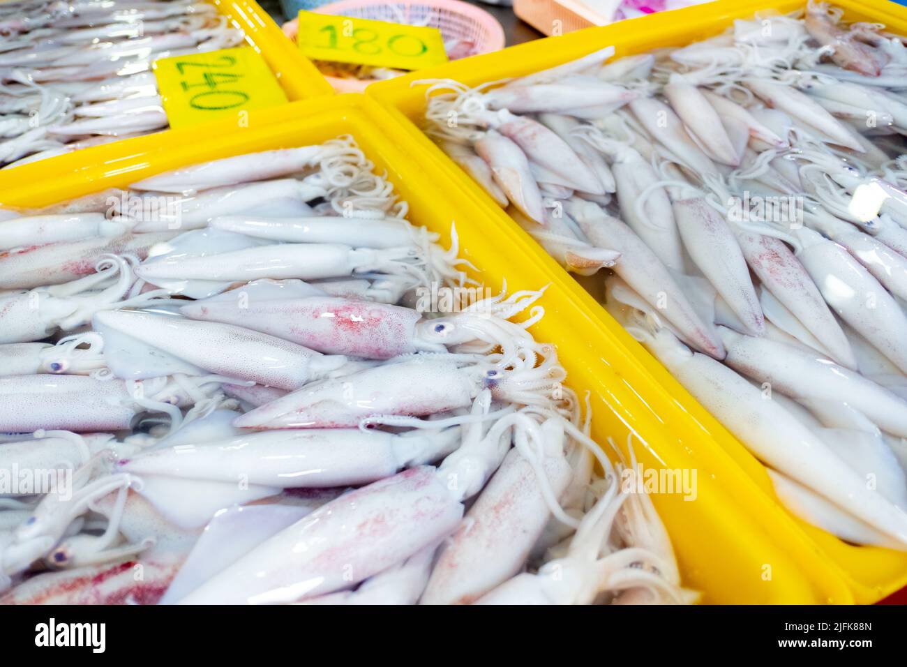 Fresh raw squid hi-res stock photography and images - Alamy