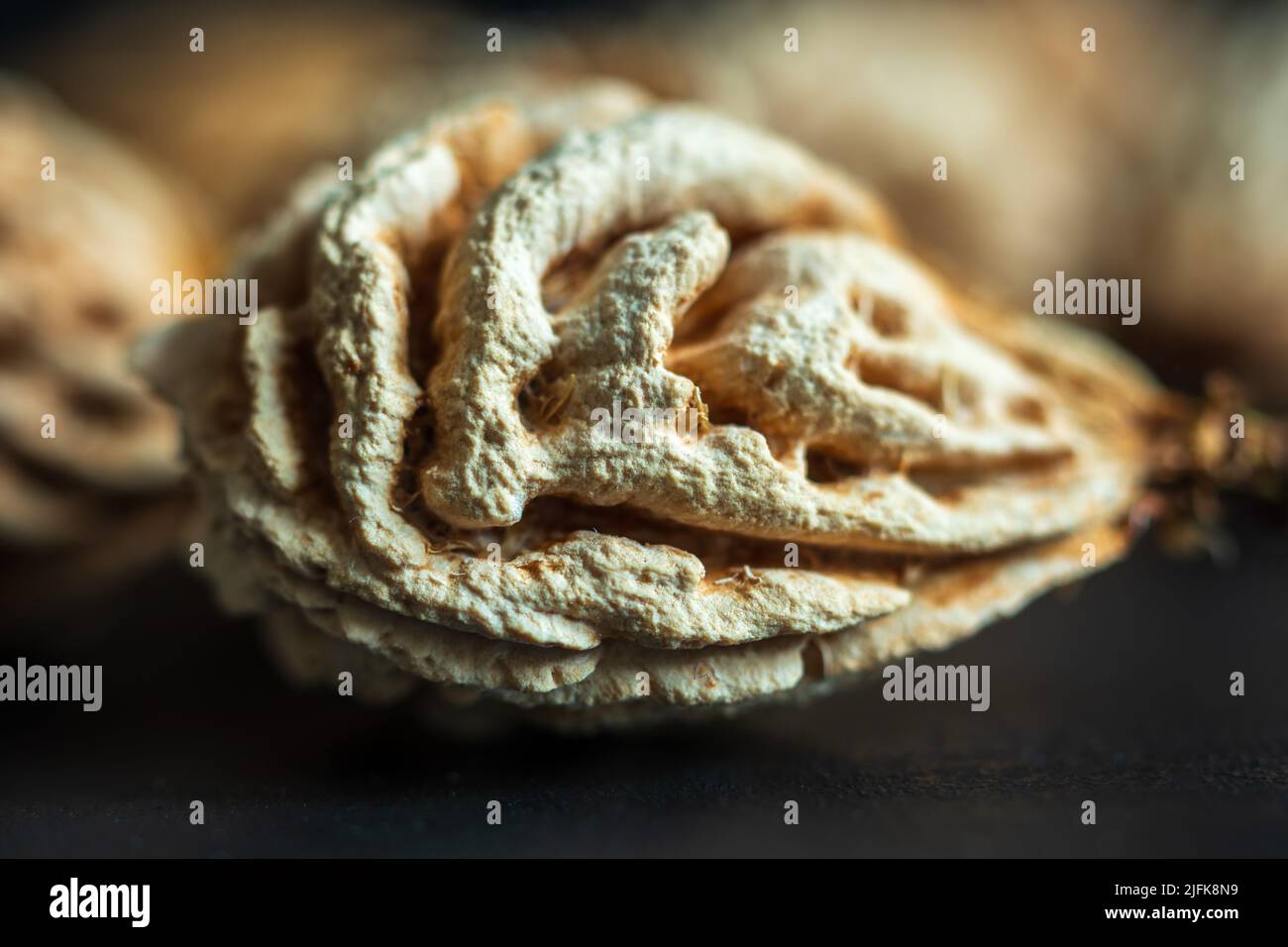 Nectarine fruit stone seed closeup Stock Photo - Alamy