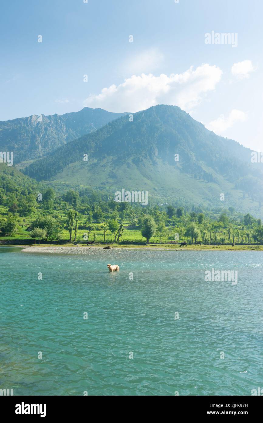 Pahalgam known as Pahalgom also known as village of shepherds in ...