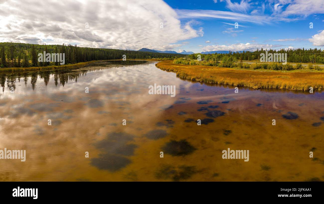 Canada wetland landscape bird hi-res stock photography and images - Alamy