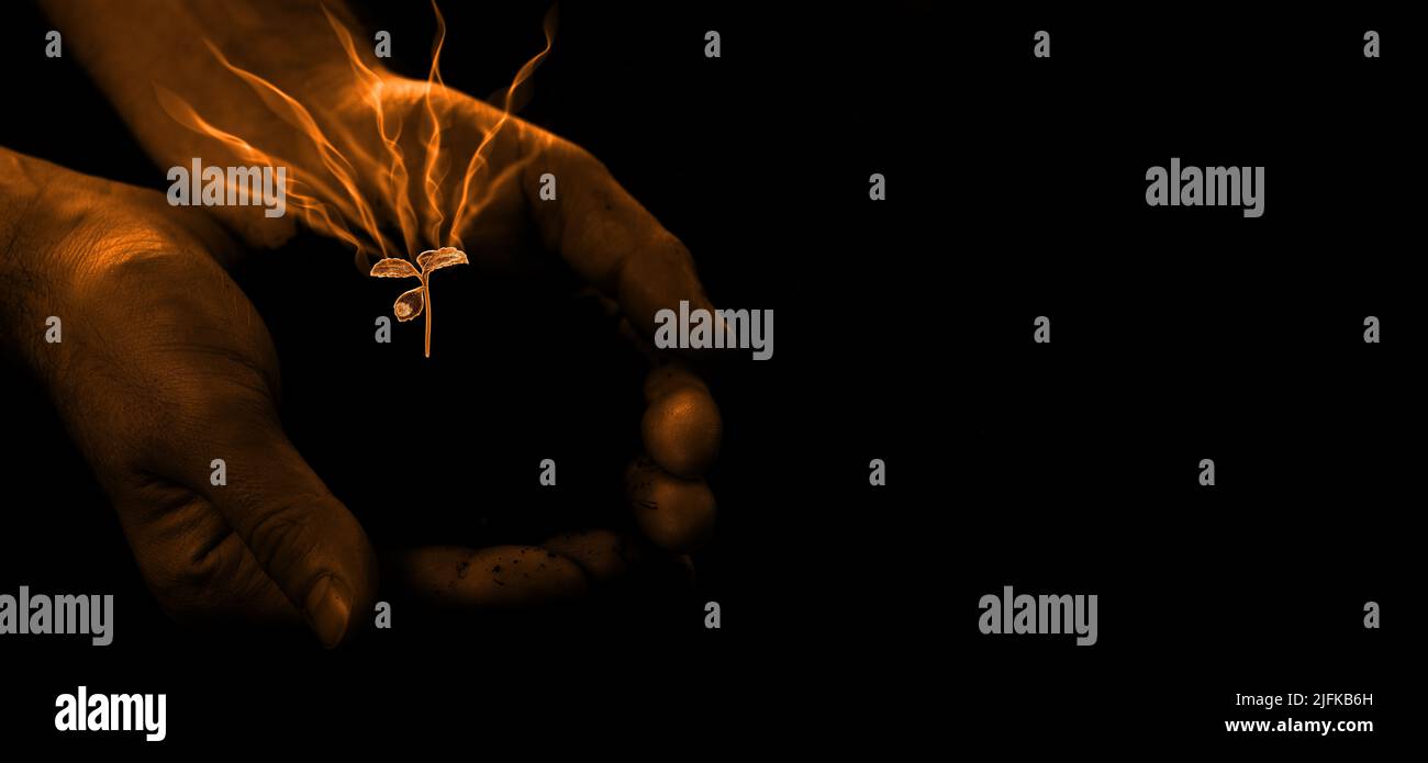 The farmer holds in his hands fertile soil with a green sprout growing ...