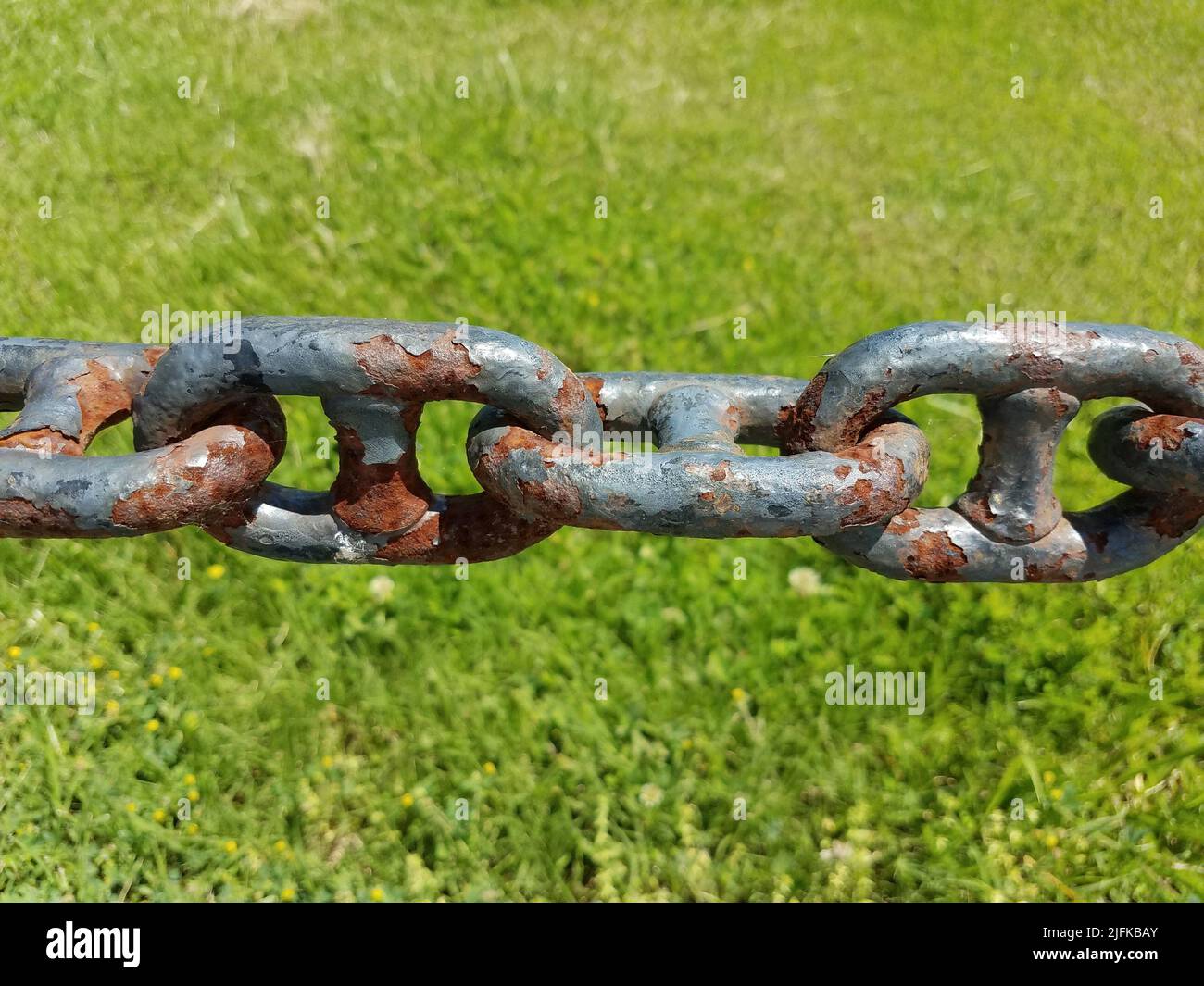 Metallic grass hi-res stock photography and images - Alamy