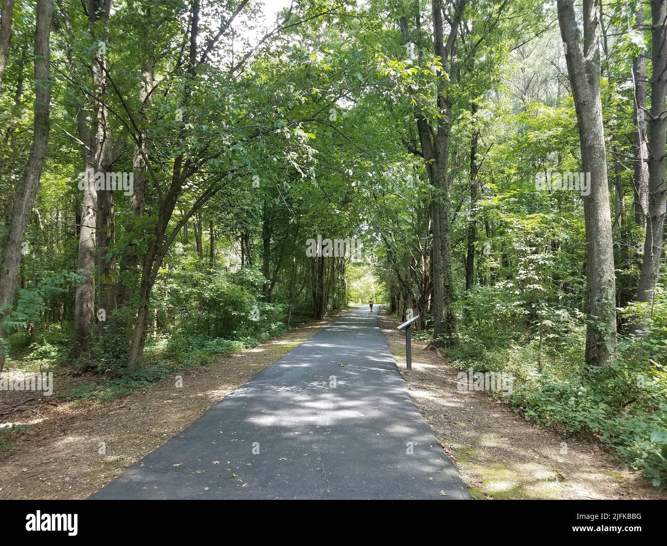 asphalt trail in the woods with sign and jogger Stock Photo - Alamy