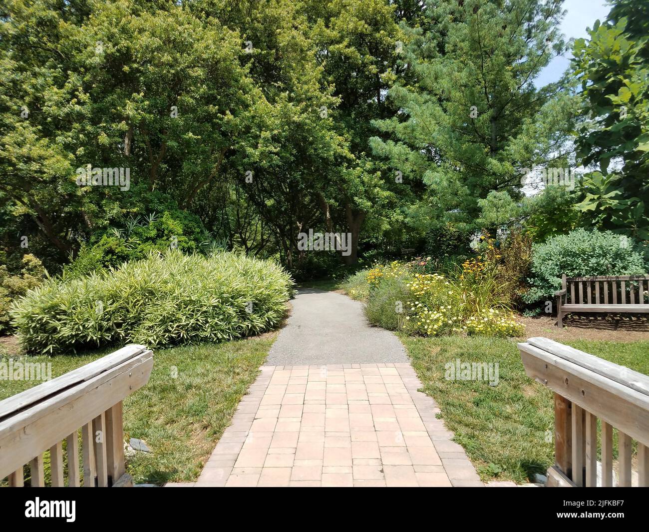 Green wood park hi-res stock photography and images - Alamy