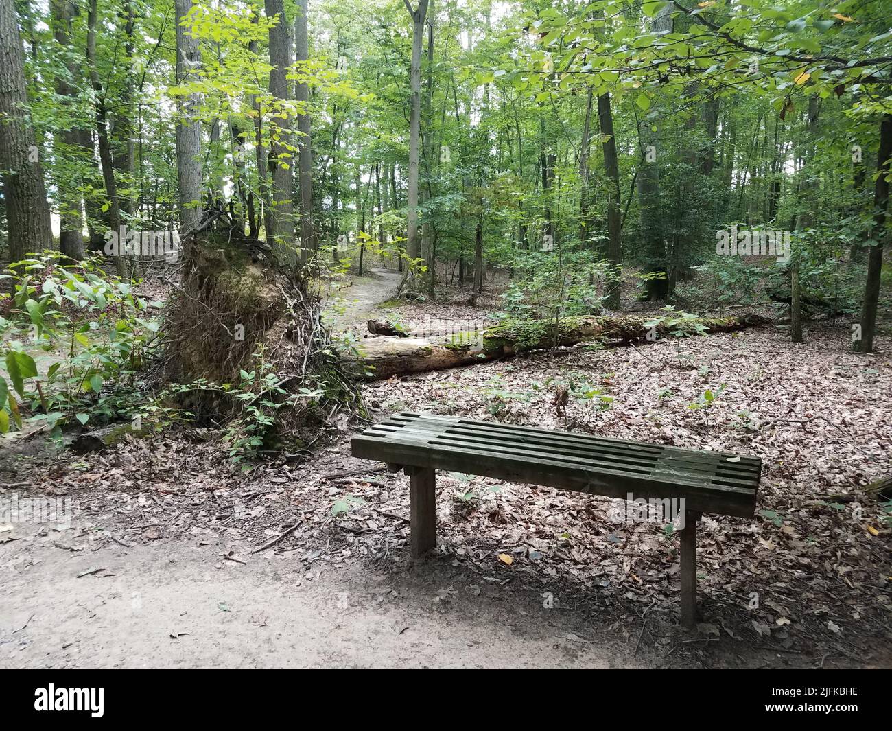 Fallen chair hi-res stock photography and images - Alamy