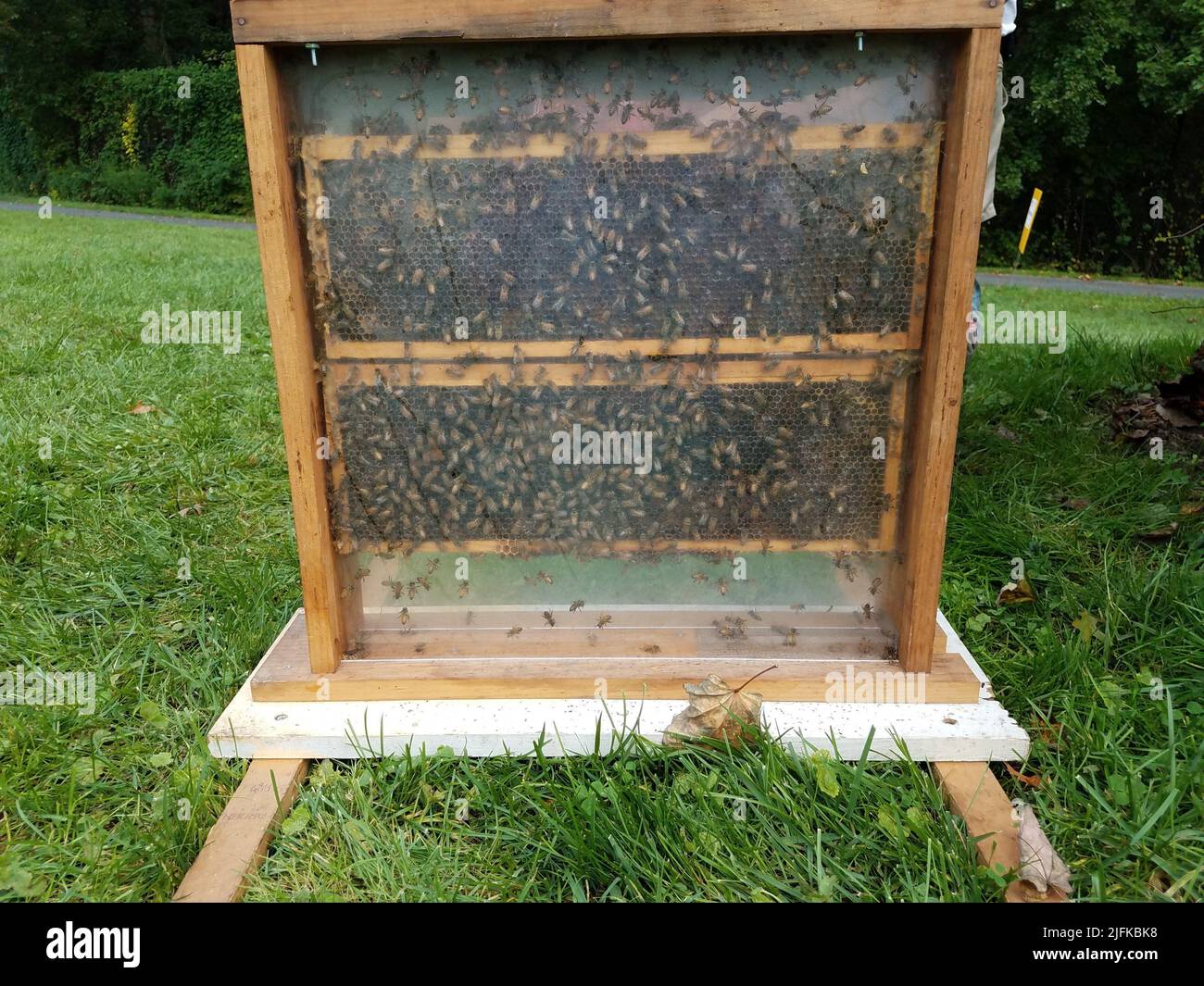 Beehive box hi-res stock photography and images - Alamy