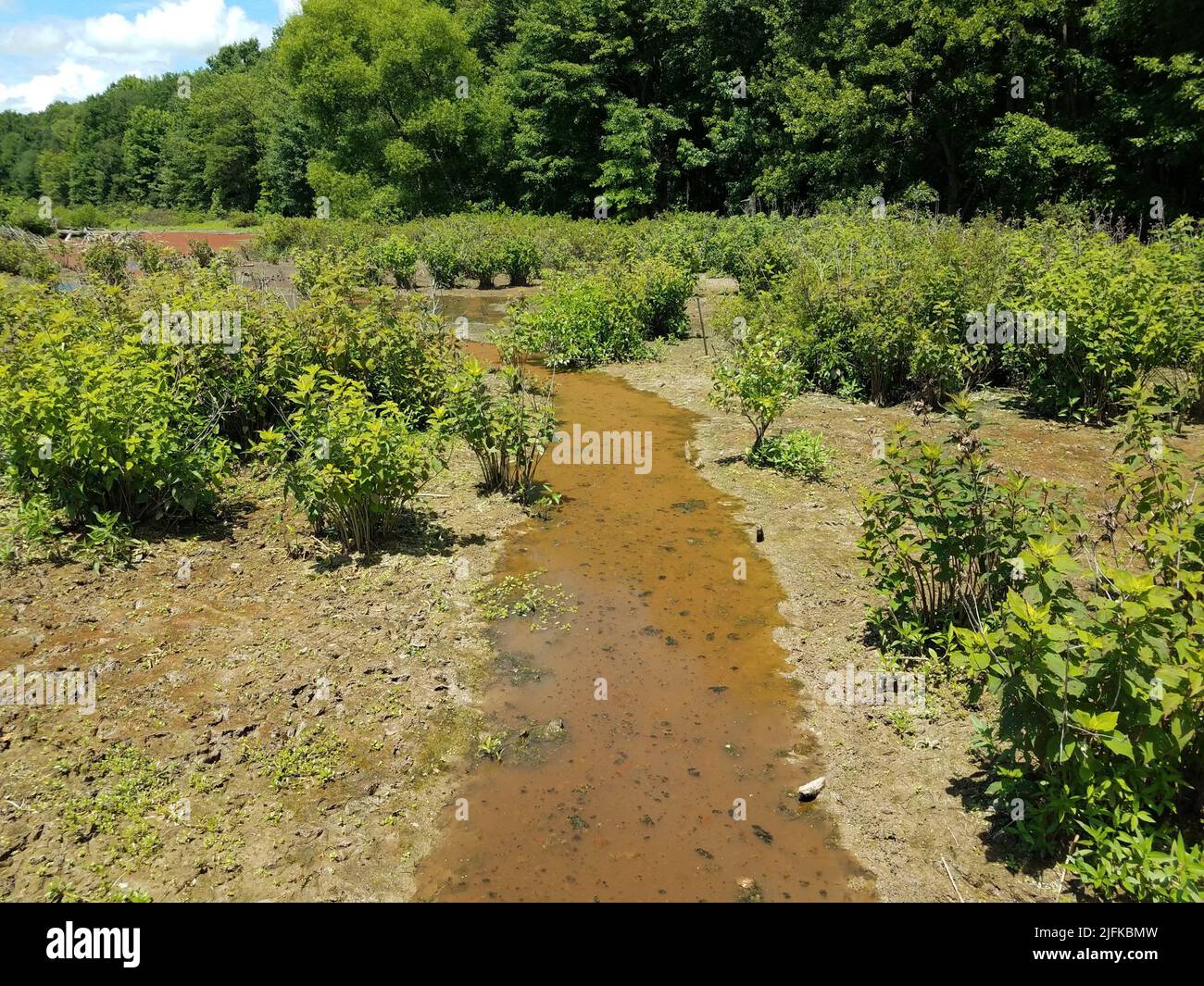 River of mud hi-res stock photography and images - Alamy