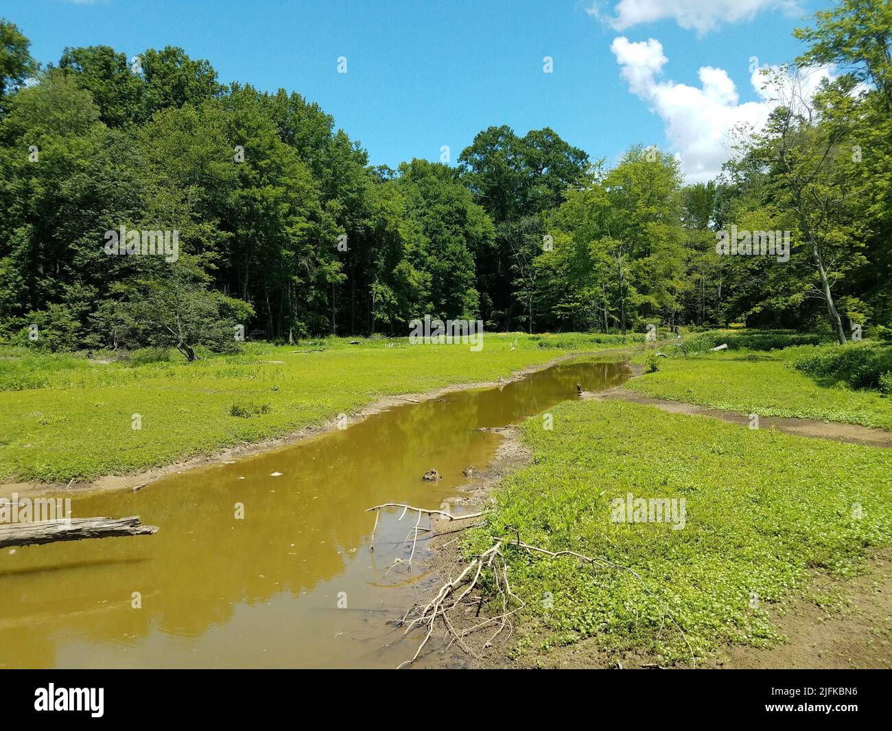 River of mud hi-res stock photography and images - Alamy